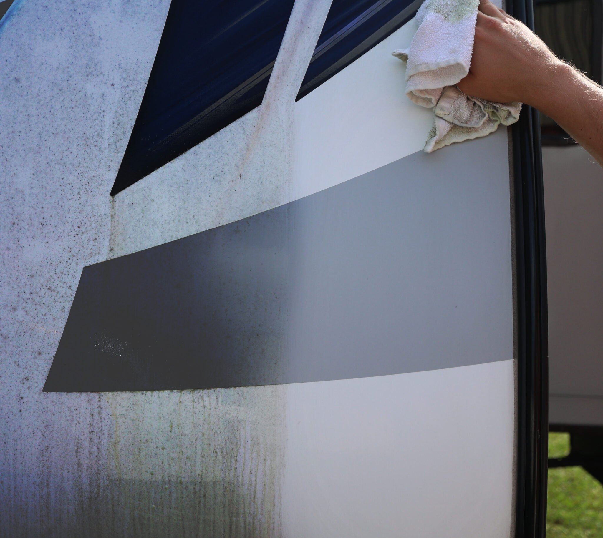 Mold, Mildew & Algae Stain Remover | Walex Products Company, Inc.